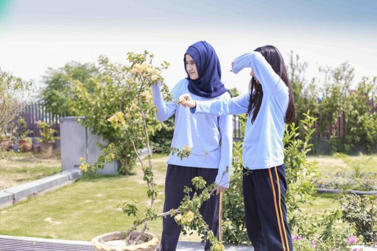 TNS DHA – TNS Beaconhouse
